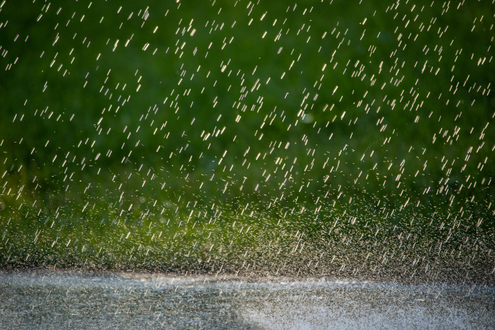 Banbridge Credit Union Limited | Home